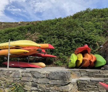 What to do on Cape Clear Island - Cape Clear Ferries