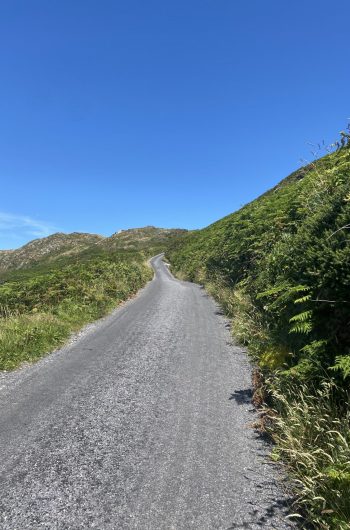 What to do on Cape Clear Island - Cape Clear Ferries