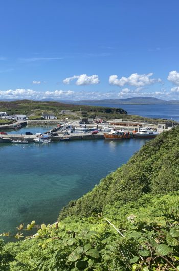 What to do on Cape Clear Island - Cape Clear Ferries